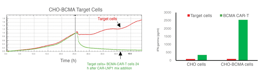 LNP Delivery System for mRNA | ProMab | ProMab
