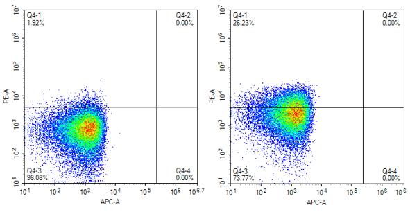 LNP Delivery System for mRNA | ProMab | ProMab