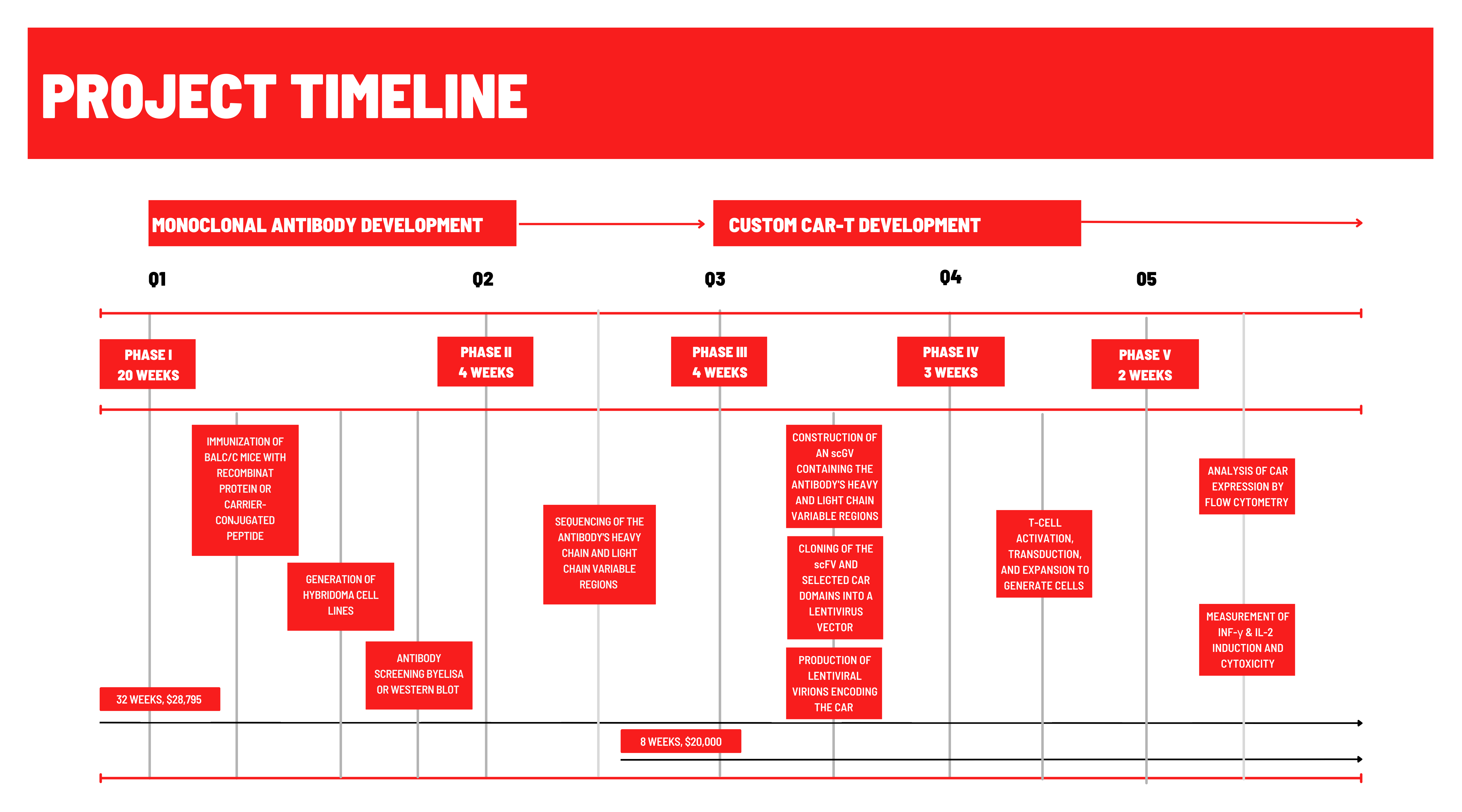 CAR-T Cell Design & Development Service | ProMab